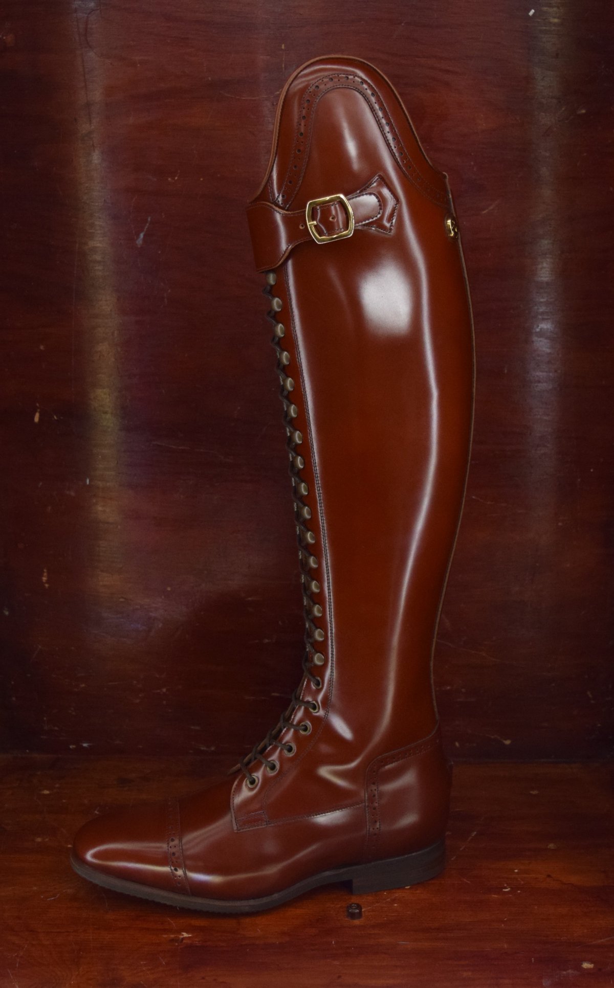 Celeris Bia Chestnut handpolished - Dressurmodeller - Rideudstyr Syd Aps